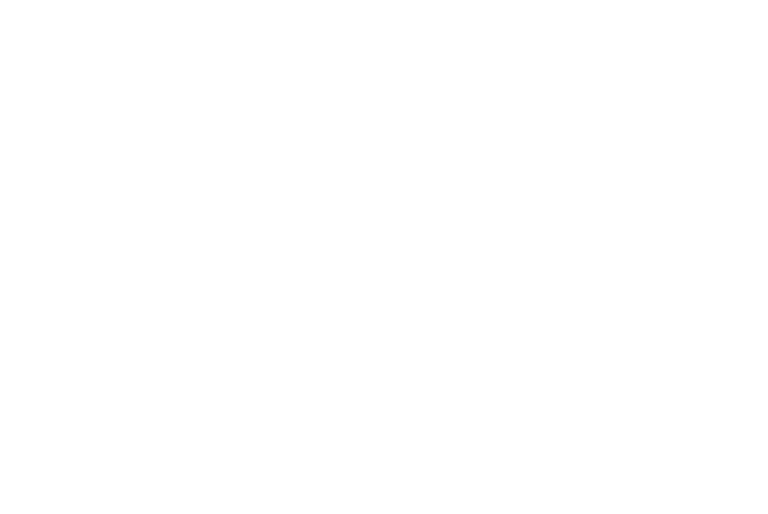 About Bluestream > Bluestream